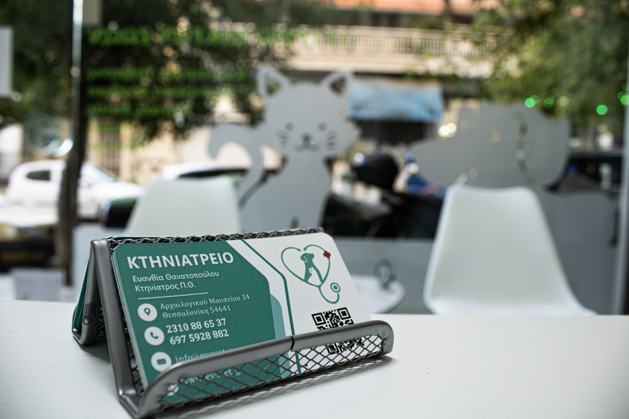 Eva Vet Veterinary Clinic - Eva Vet Veterinary Clinic - Evanthia ...